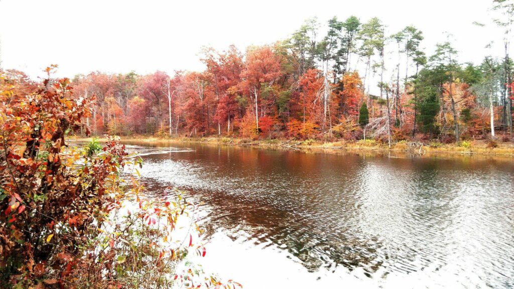 William Andes Realtor - Andes Realty Team